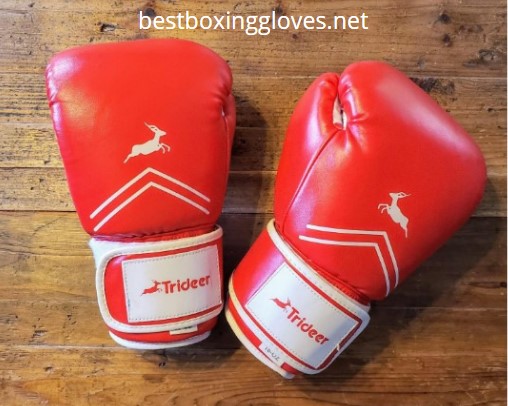 Top 6 Best Budget Boxing Gloves Under 100$